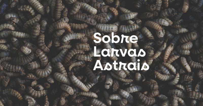 Larvas Astrais: Como Elas Podem Estar Sugando Sua Energia e Como Se ...